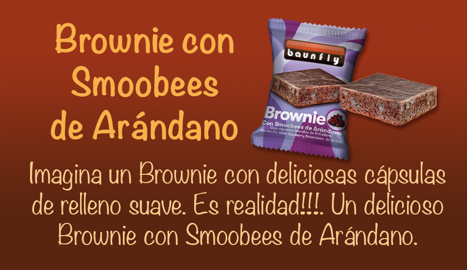 Brownies y Alfajores Baunfly