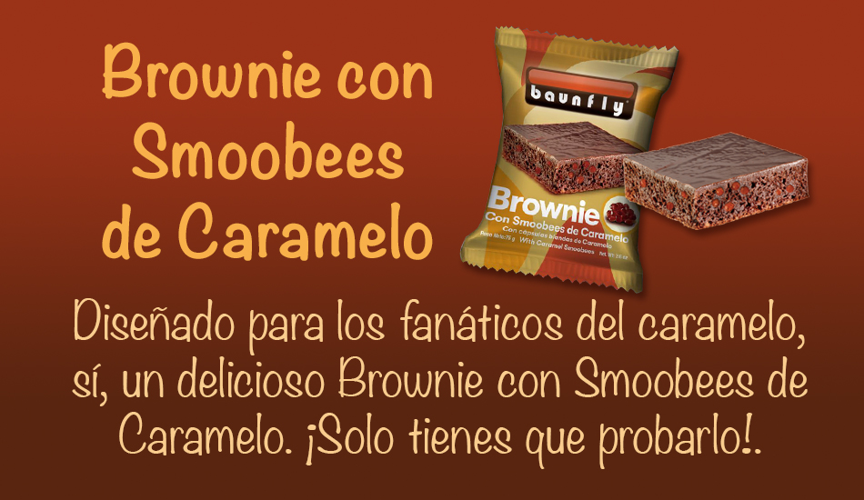 Brownies y Alfajores Baunfly